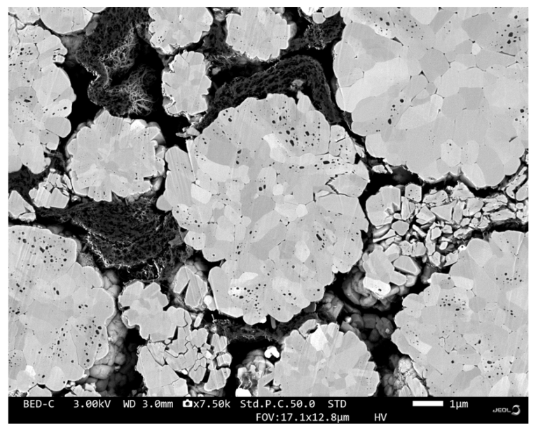 How scanning electron microscopy is helping researchers develop better ...